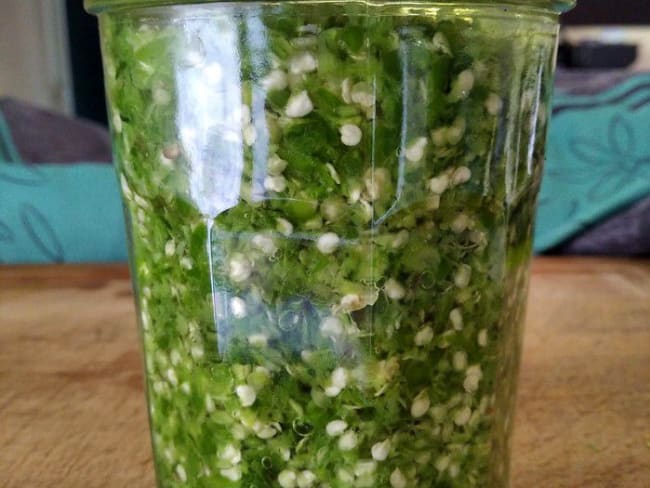 Purée de piment vert - Recette par Chef Papounet