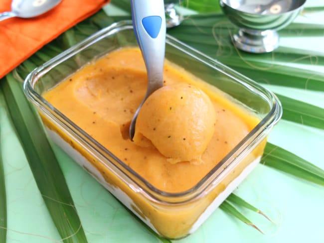 Le Sorbet Exotique de l’école Ferrandi : recette Le Sorbet Exotique de ...
