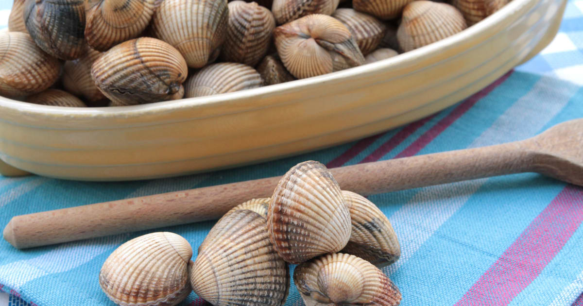 Les coques communes - Comment choisir, conserver et cuisiner les coques ...