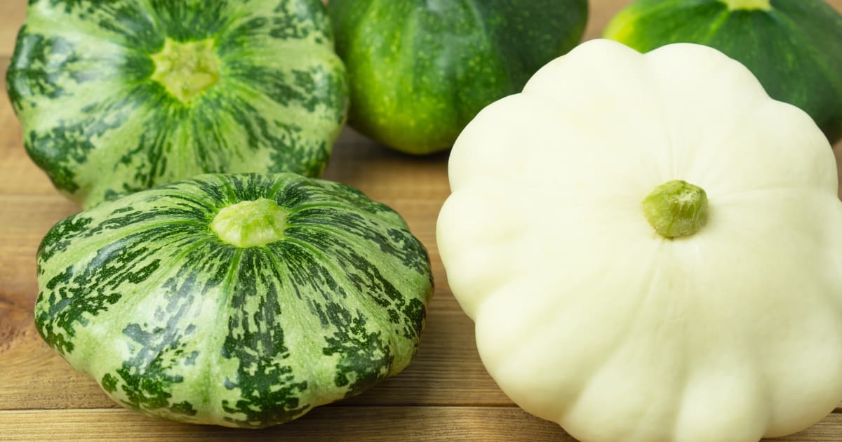 La courge pâtisson - Quelles sont ses principales caractéristiques et ...