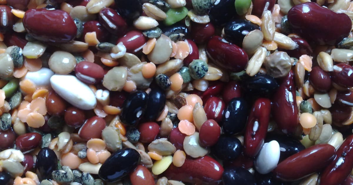 Les légumes secs - Fèves, pois, haricots, lentilles, soja