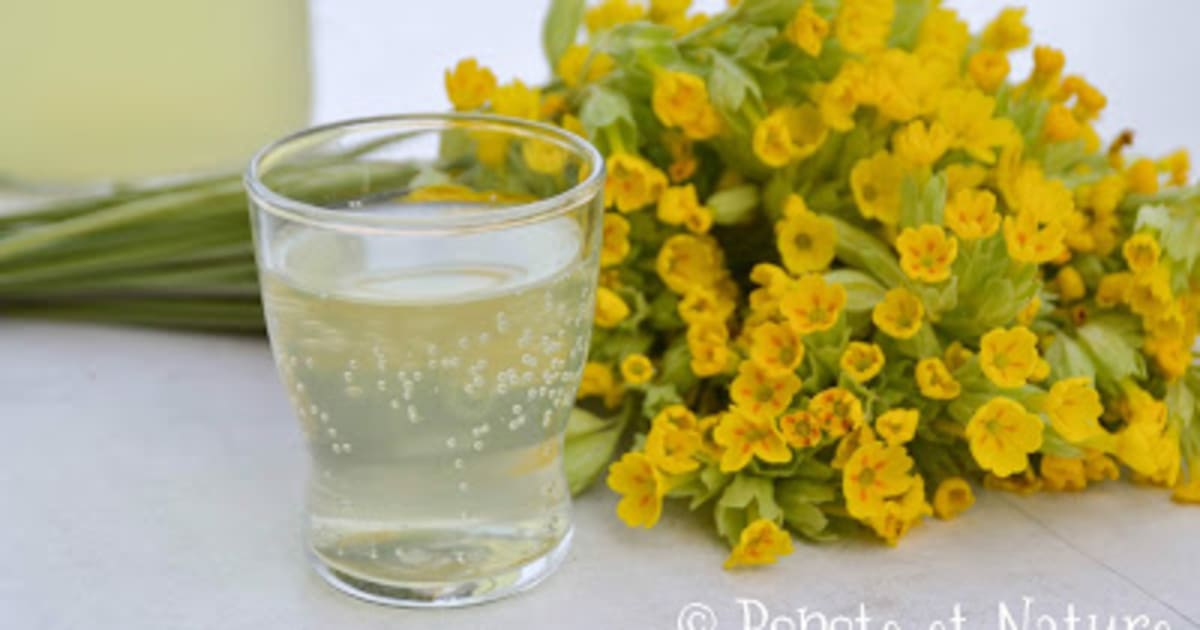 Limonade originale aux fleurs de coucou - Recette par Popote et Nature