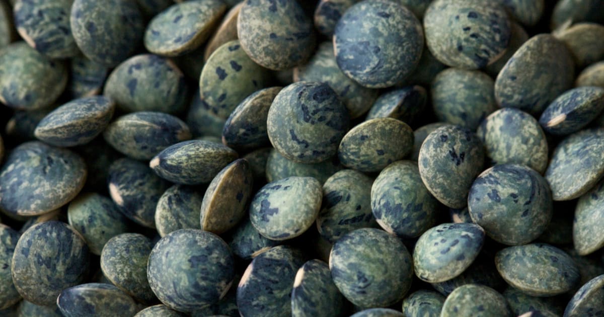 Piochez parmi nos recettes faciles et pas chères aux lentilles vertes ...