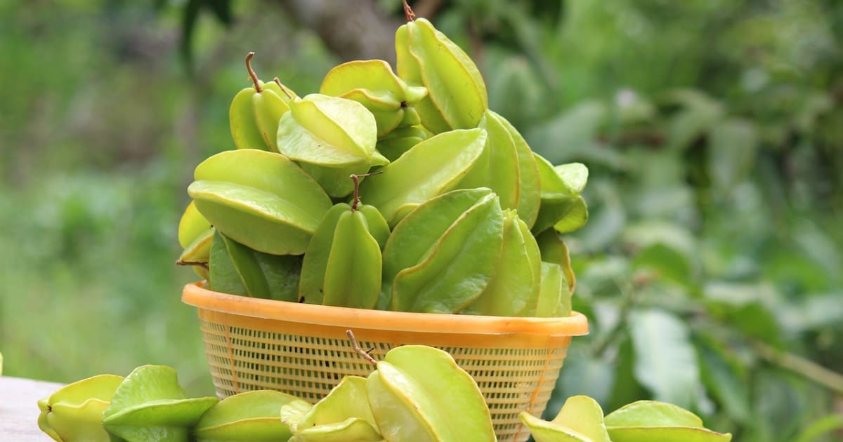 De jolies et délicieuses recettes à base de carambole, un fruit ...