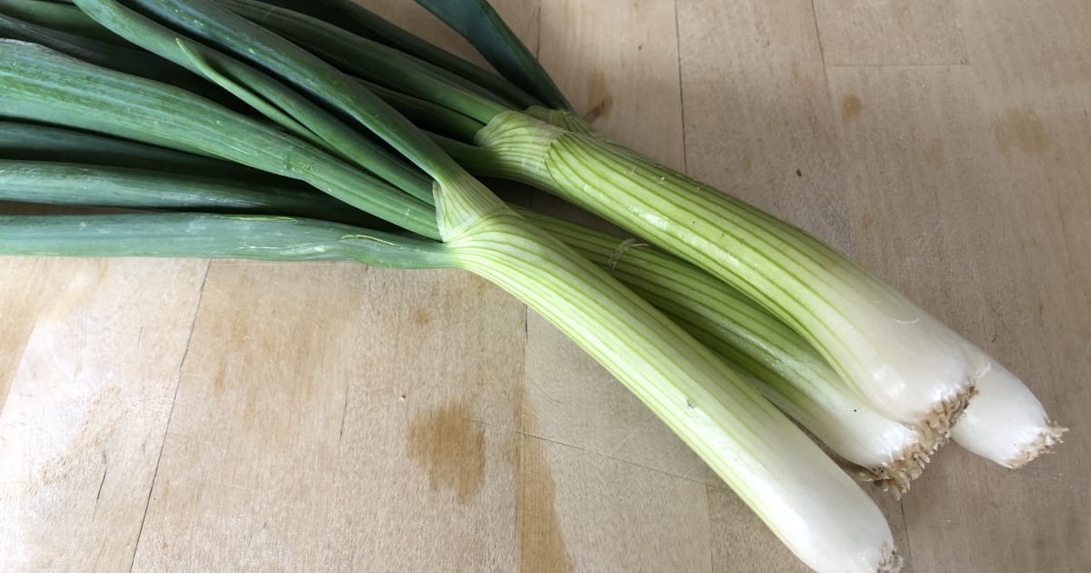 Des recettes de cébette et panure faciles et originales