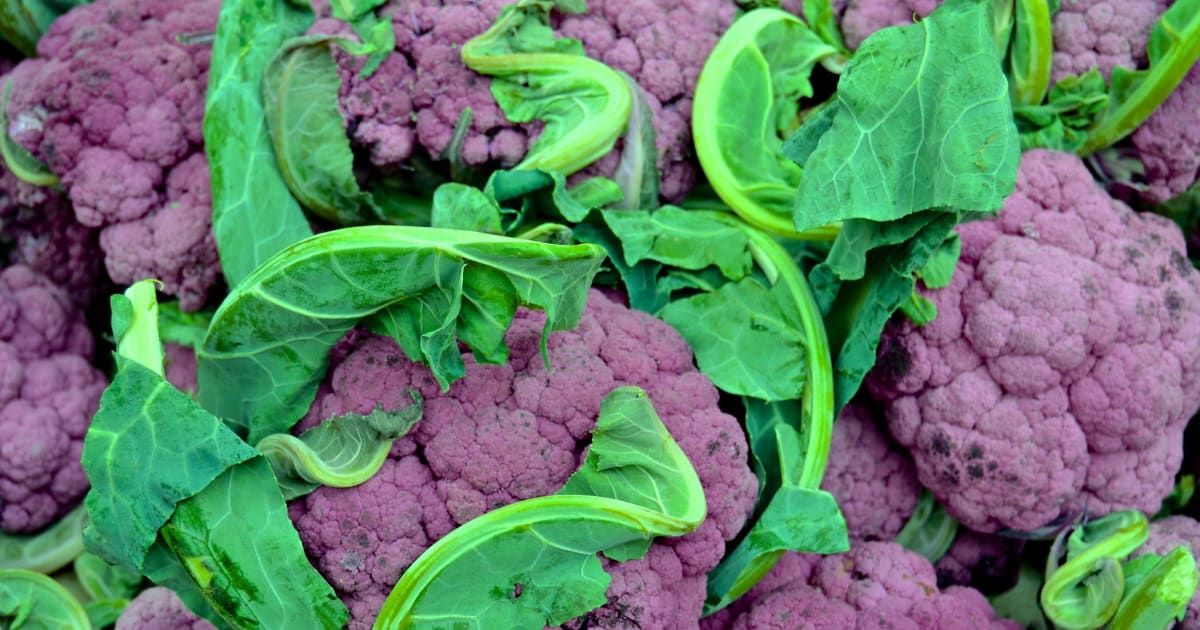 Chou-fleur violet et cuisine revisitée : des recettes faciles et originales
