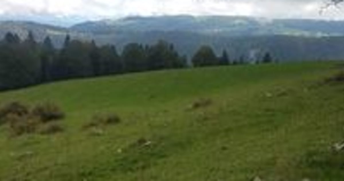 Sarah Lessard - Le Gourmet et ses recettes