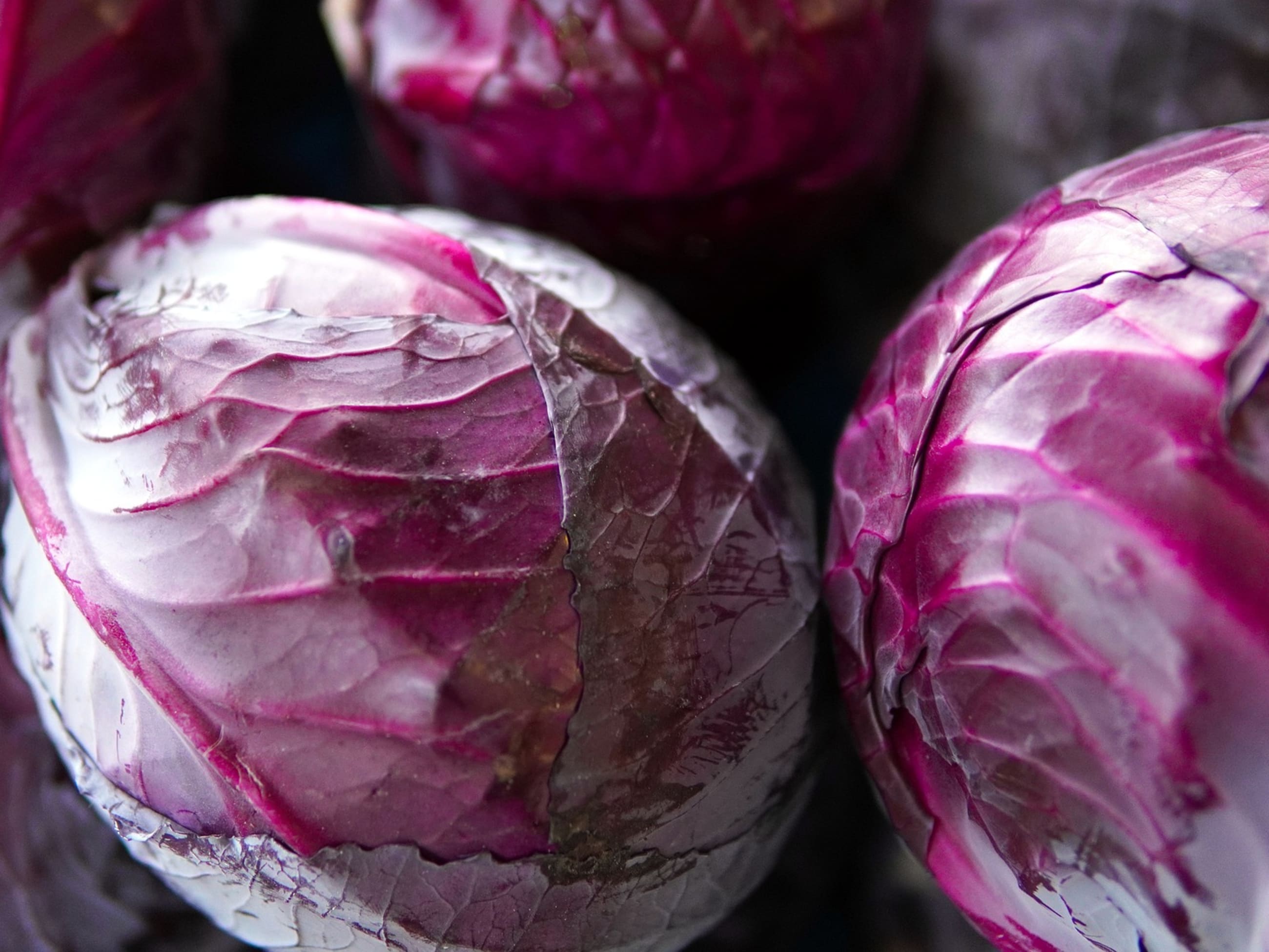 Le chou rouge cabus - Quelles sont ses vertus et comment l'utiliser en ...