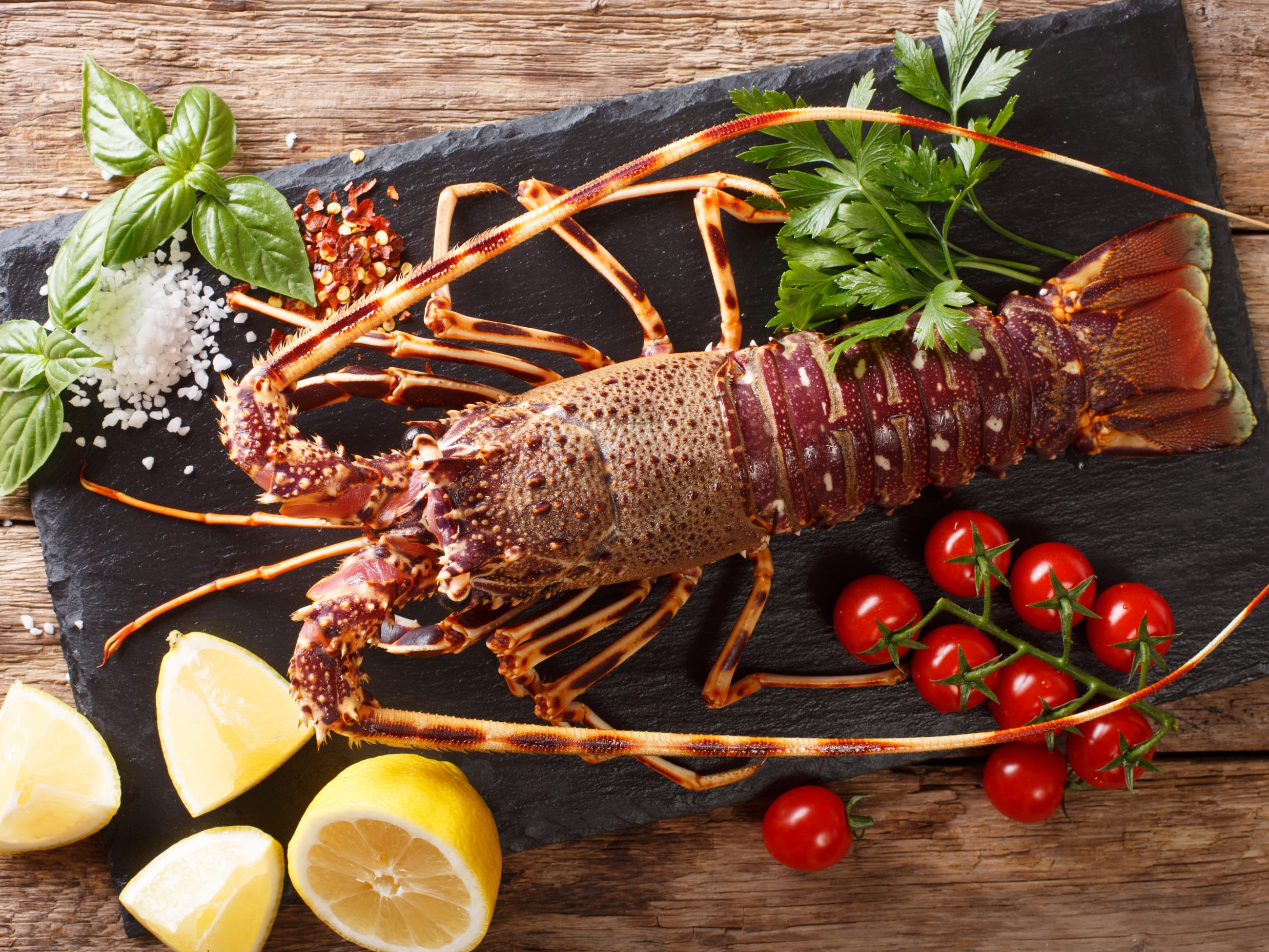 La langouste - Quelles sont les différentes variétés de ce crustacé et ...