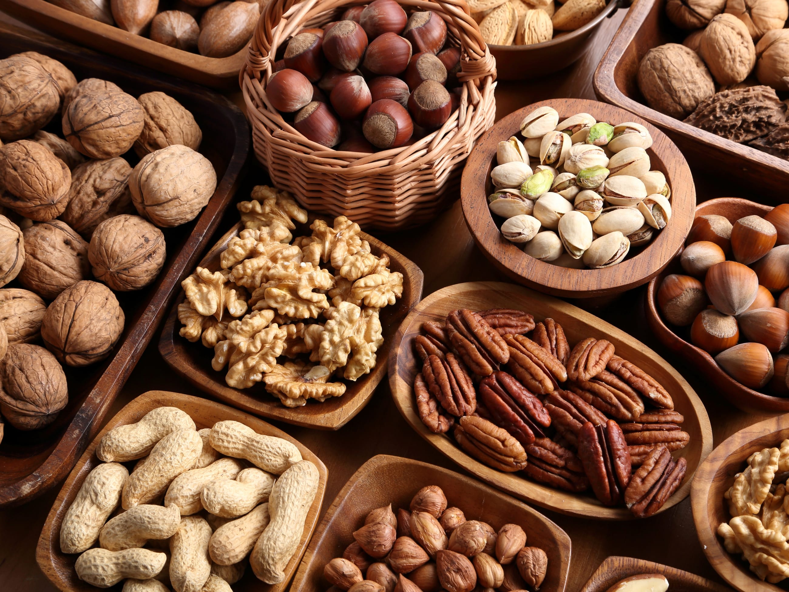 Présentation des fruits à coque : amande, noix, noisette, pistache ...