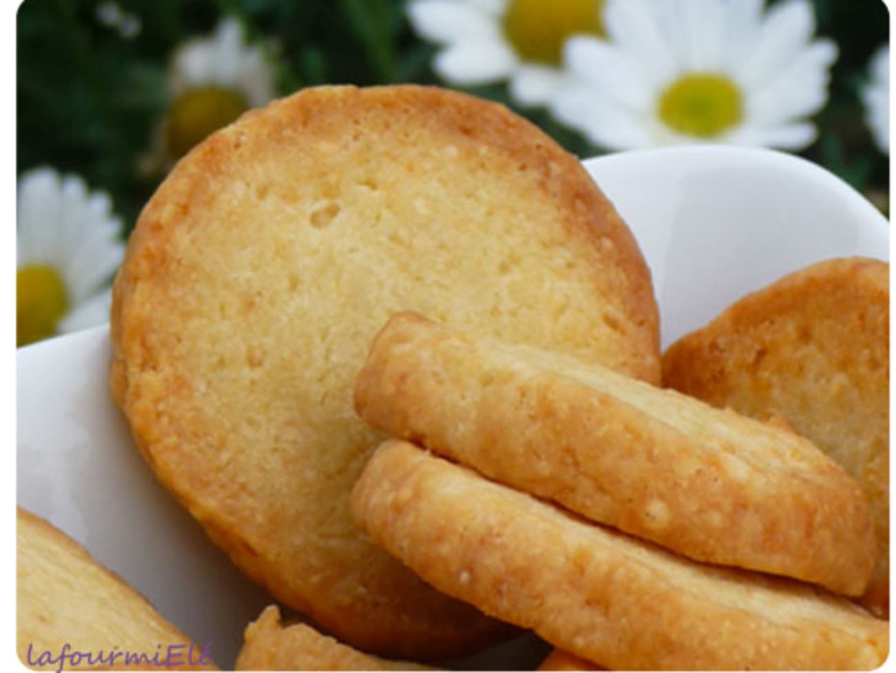 Sablés parmesan - Recette par la Fourmi Elé