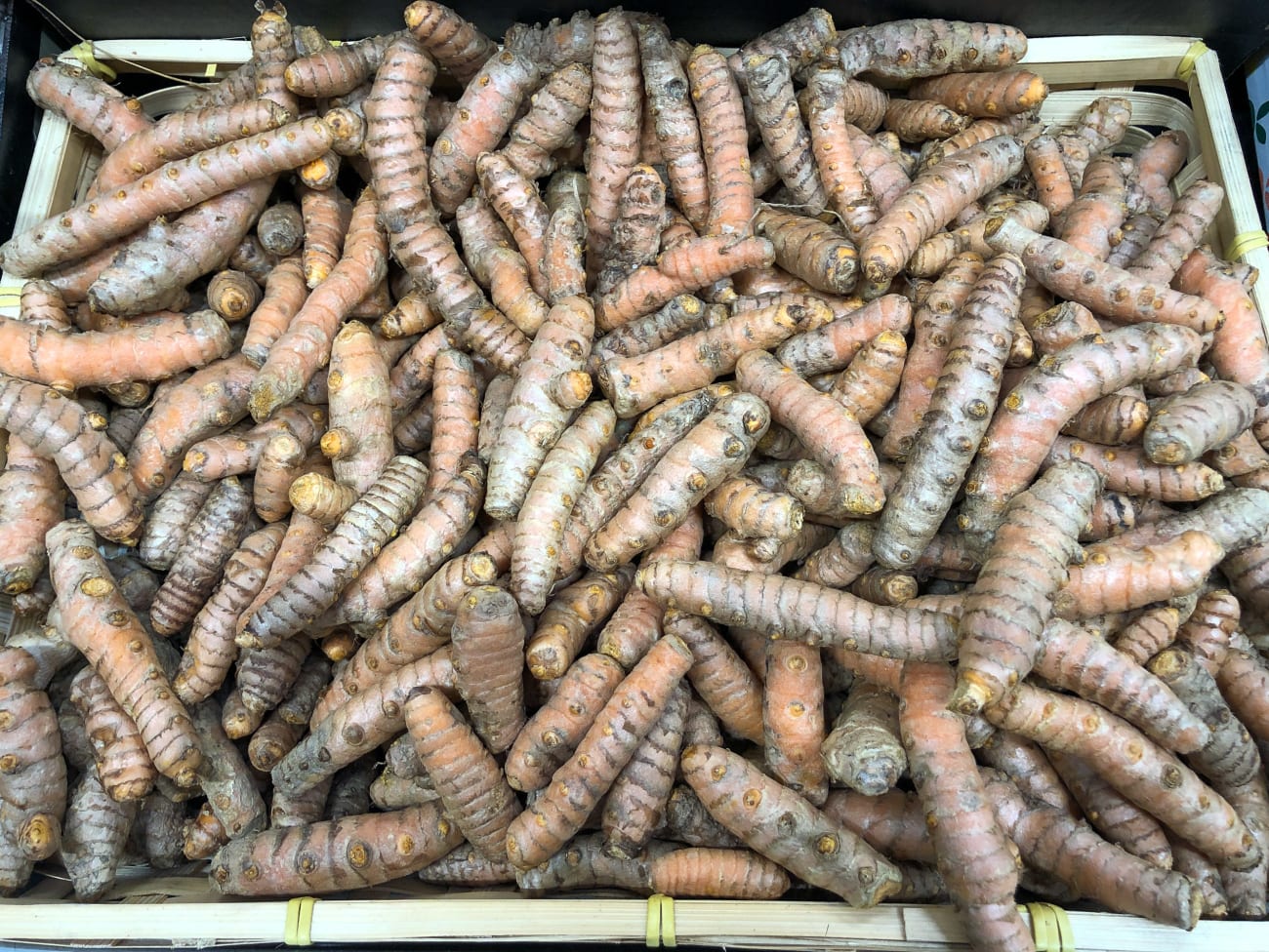 Le curcuma, une épice au goût musqué à adopter pour relever vos ...