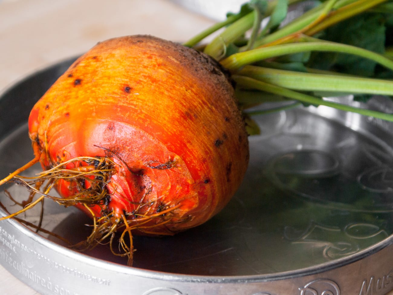 Betterave jaune et salade : des recettes faciles et originales