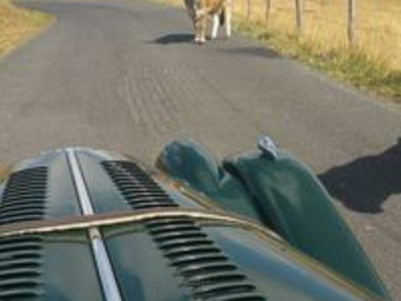 Florence Caretti Dast - Le Gourmet et ses recettes