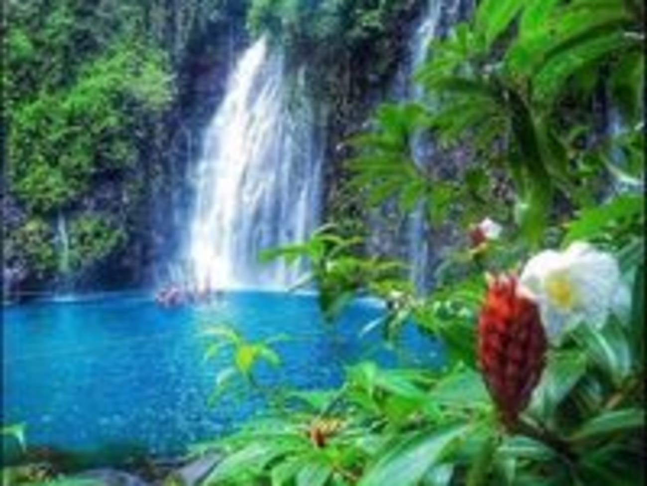 Vivi Rose - Le Gourmet et ses recettes