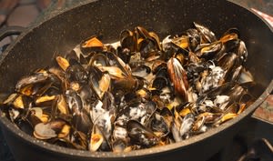 La moule de bouchot, la reine des bivalves Dès juillet, on peut ...