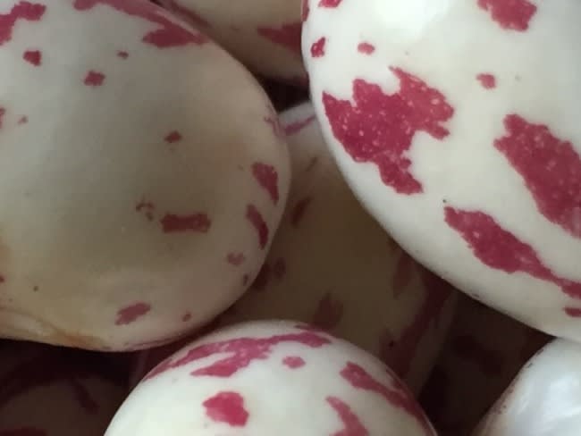 Salade de haricots borlotti - Recette par Delphinn