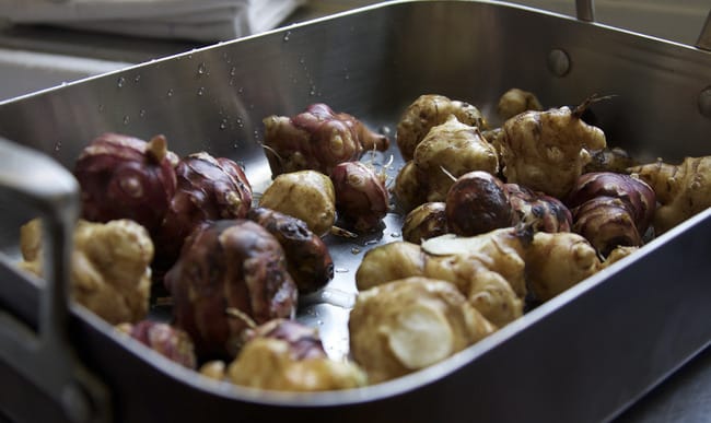 Je fais quoi avec le topinambour ? Toutes nos recettes pour le préparer ...