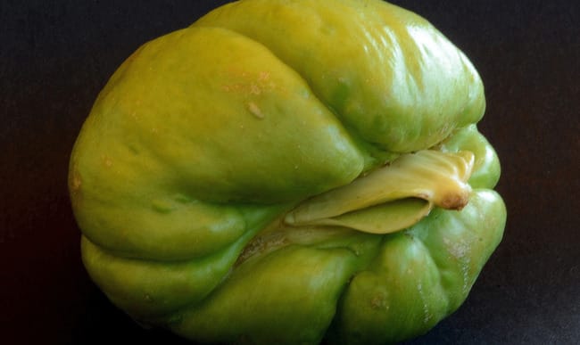 Découvrez la chayotte ou christophine avec ces recettes gourmandes et ...