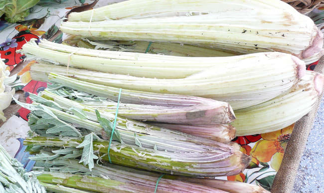 Recettes de cardon : des idées de recettes faciles et originales