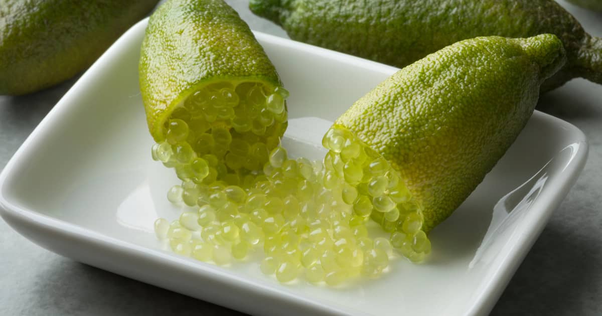 Le citron caviar ou finger lime - Quelles sont les caractéristiques de ...