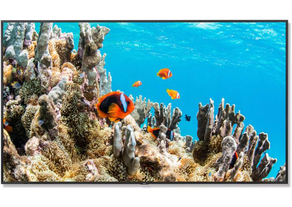E988 98" UHD Professional Large Format Display