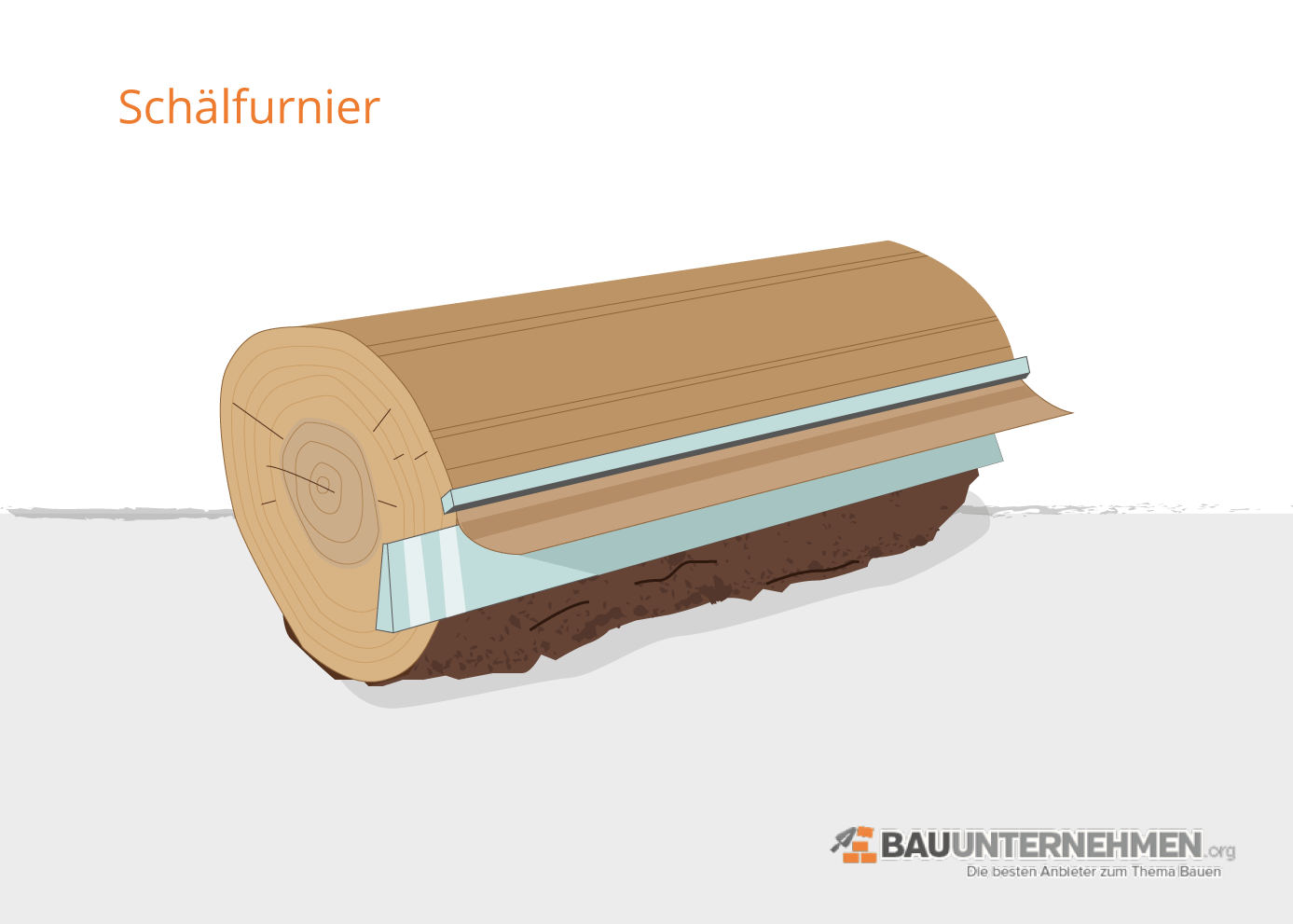Furnier: Definition, Herstellung, Arten & Verarbeitung