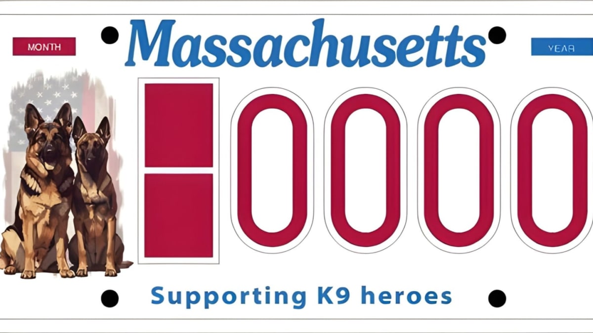 Order K9 License Plate