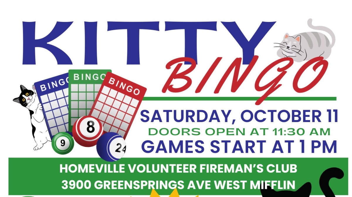 Fur All Kittys Fall Bingo