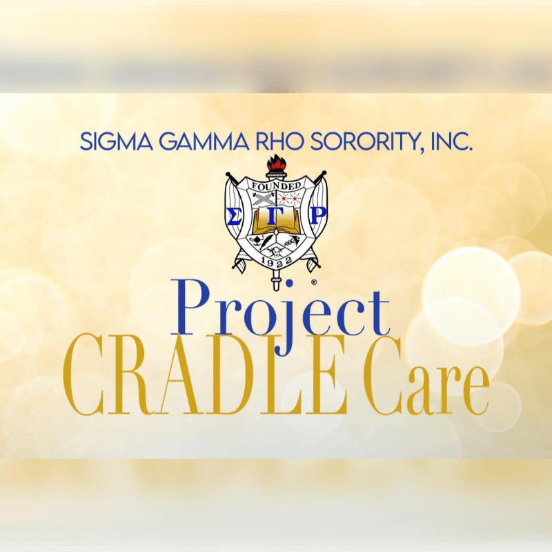 Project Cradle Care-Delta Beta Sigma Rhoyal Community Baby Shower
