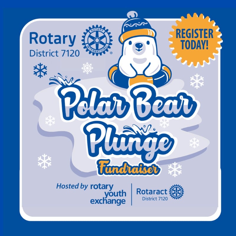 Polar Bear Plunge