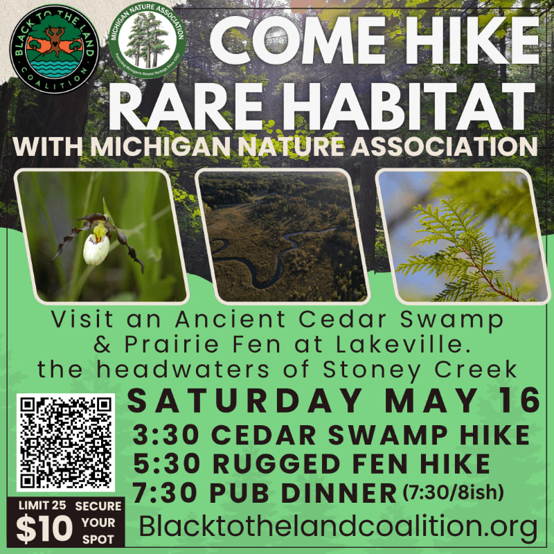 🥾🌱Rare Habitat Hike w/ Black to the Land & Michigan Nature Association!