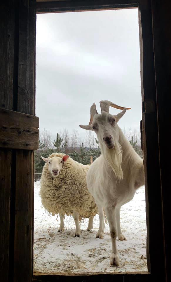 Visite 17 mai / May 17th visit