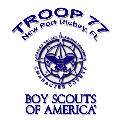 Troop 77 Payments