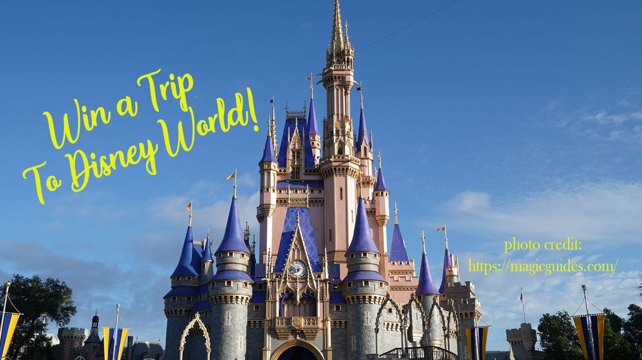 Disney World Trip for 4 Raffle