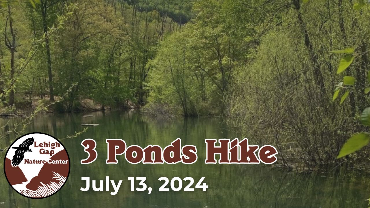 3 Ponds Hike with Dan Kunkle