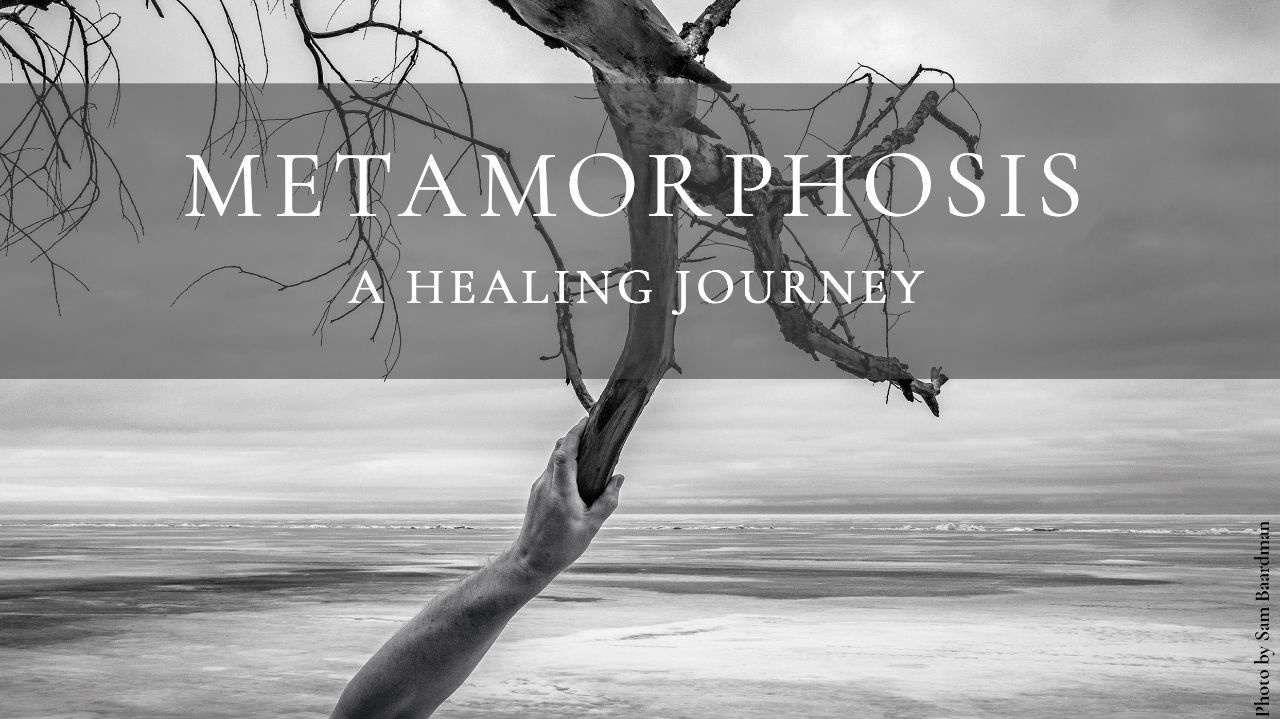 Fine Art Book: Metamorphosis: A Healing Journey