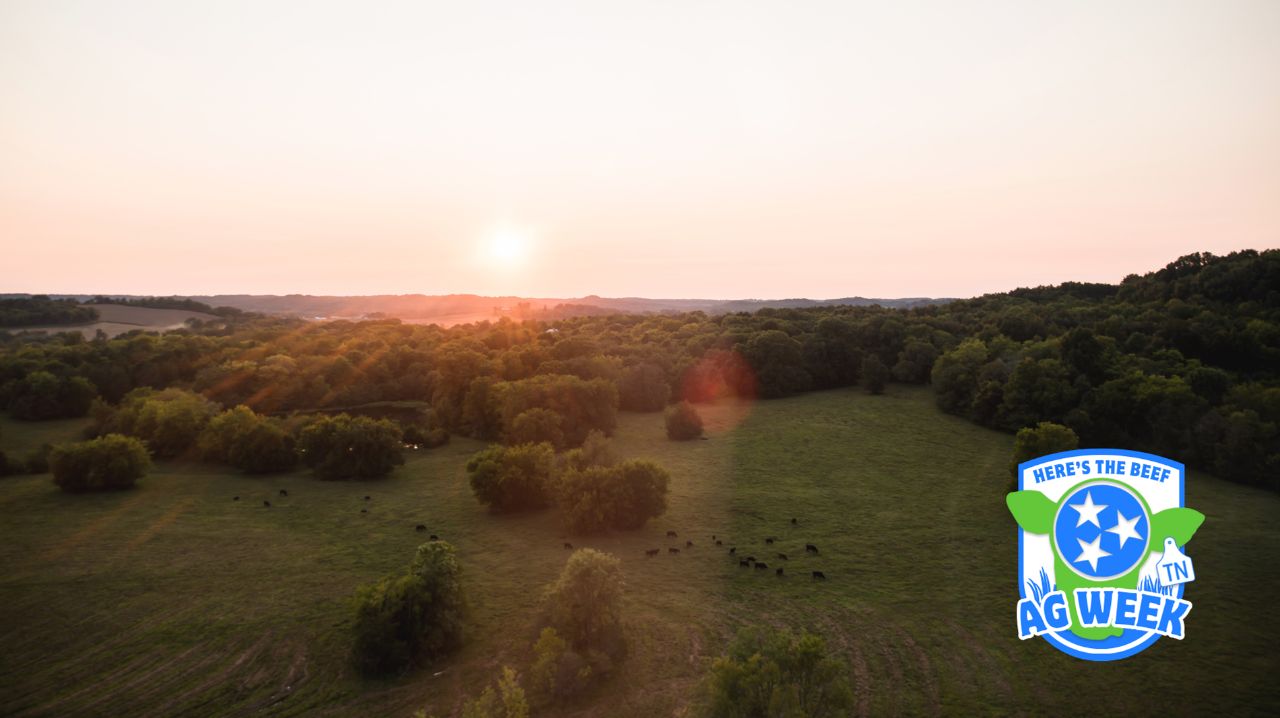 Here's the Beef Rodeo Tickets