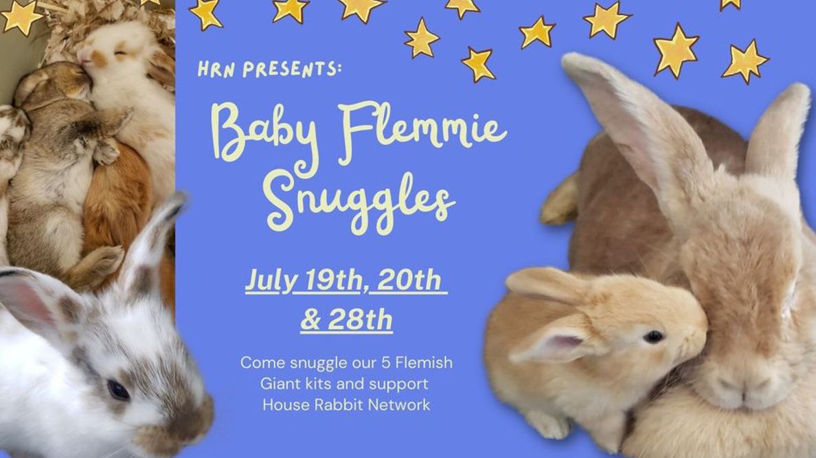 Baby Flemmie Snuggles