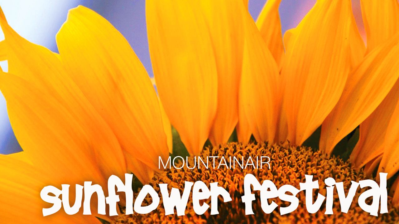ITEM "B" Raven / Sunflowers Painting - 2024 SUNFLOWER FESTIVAL ART RAFFLE