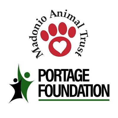 Top Dog Contest 2024