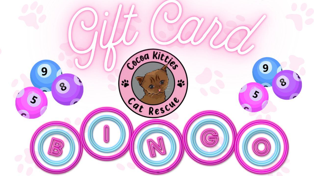Gift Card Bingo