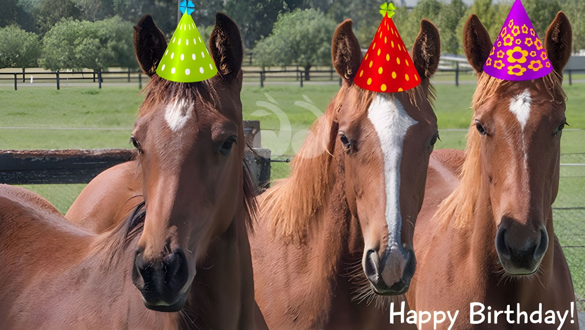 Birthday Parties at The Ranch