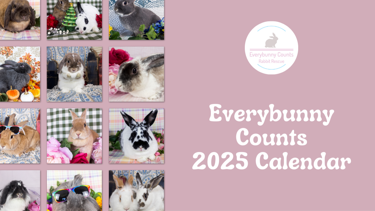 2025 Everybunny Counts Calendar