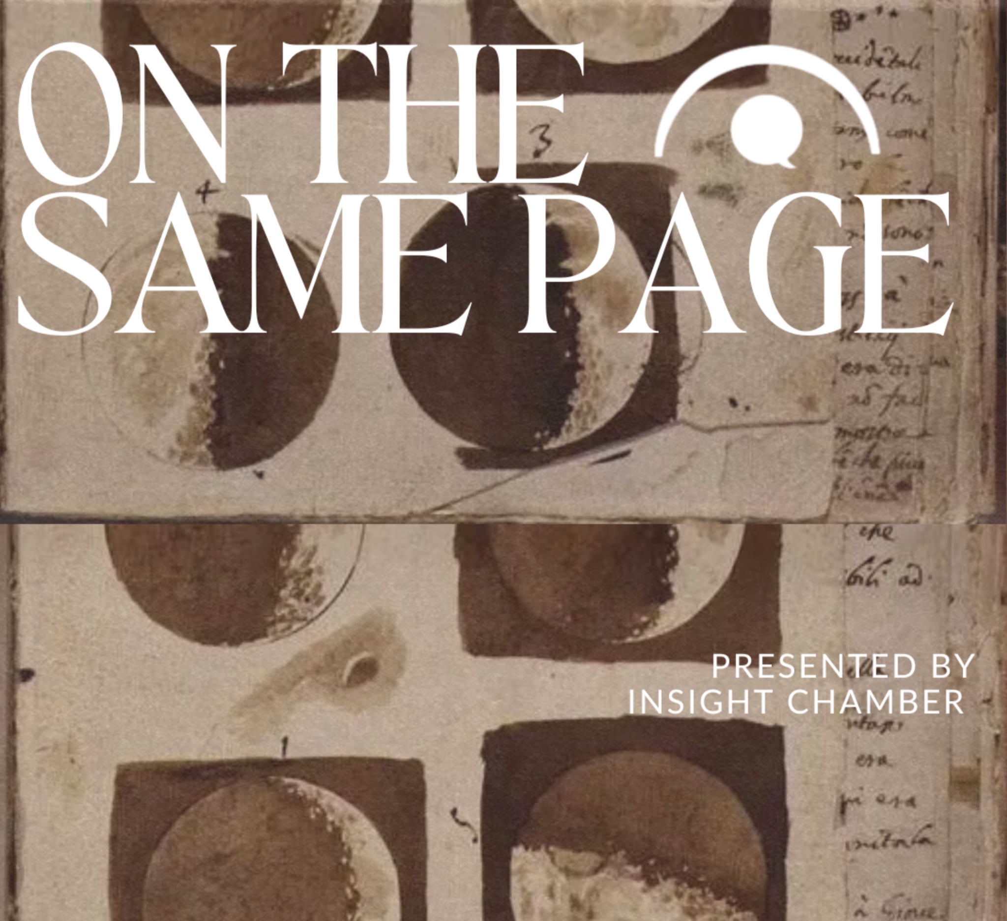 On the Same Page ⎹ Blue Painted Lady I