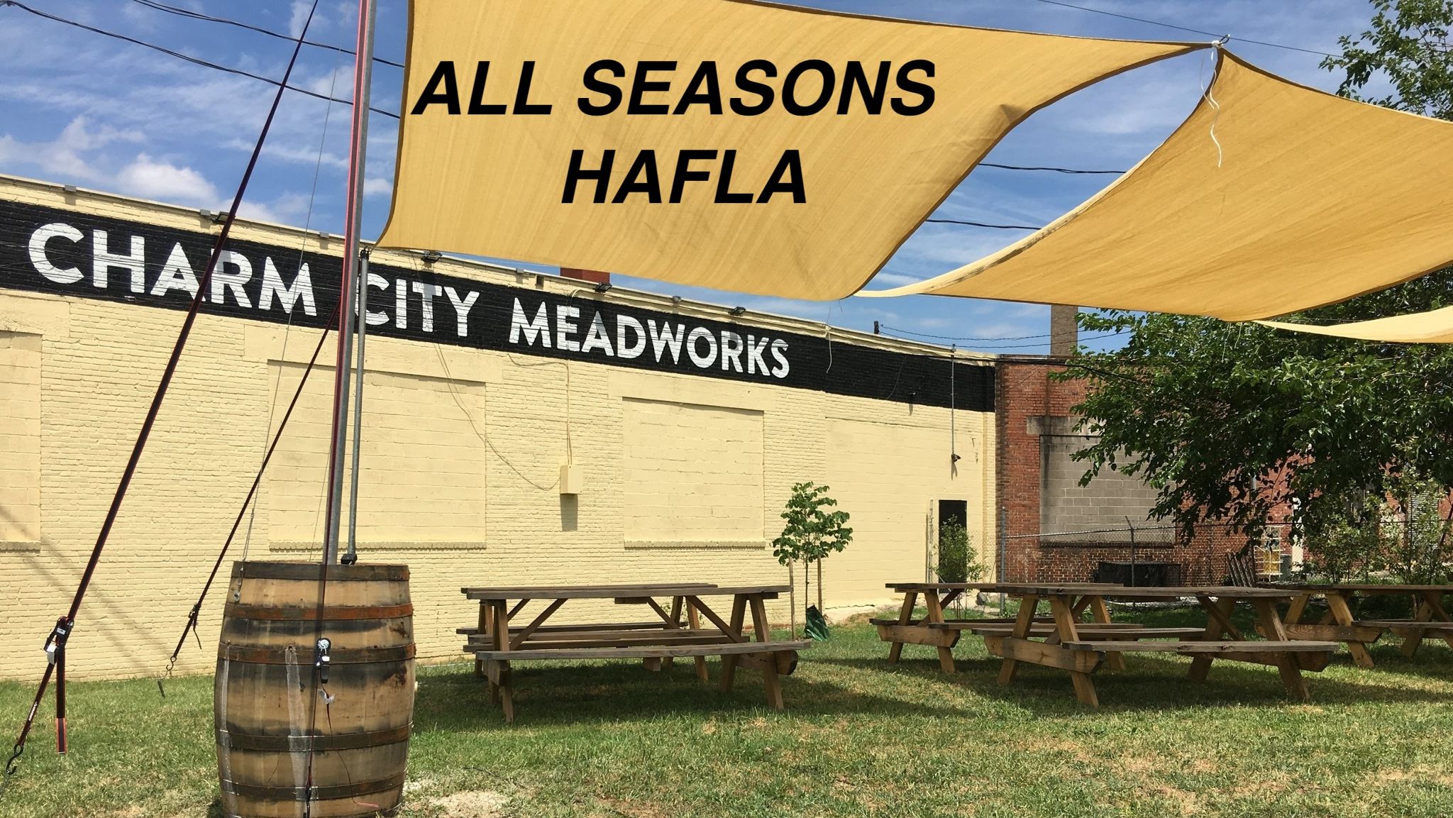 12/1/24 All Seasons Hafla Middle Eastern Dance Party!