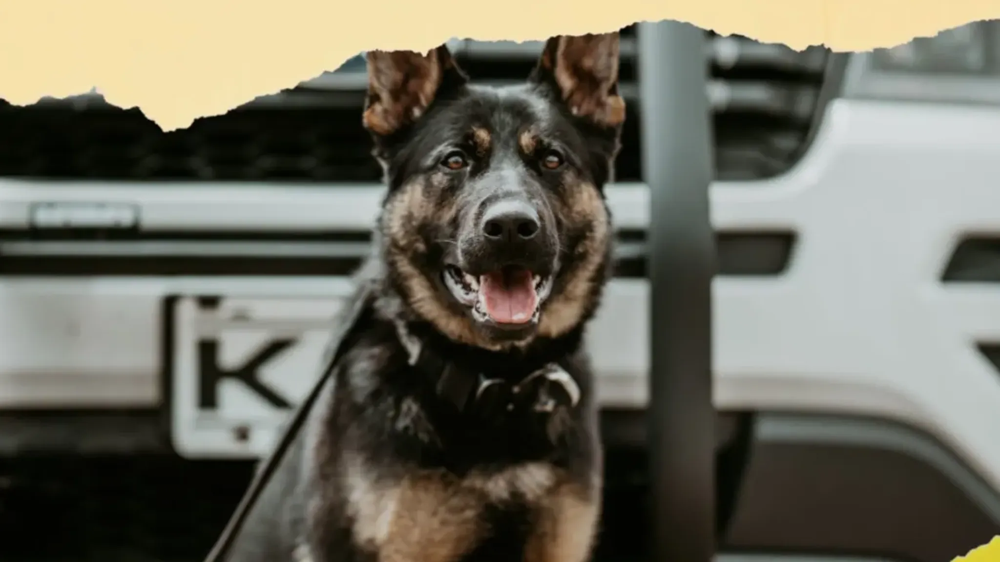 Help Vest EHPD K9 Gunner