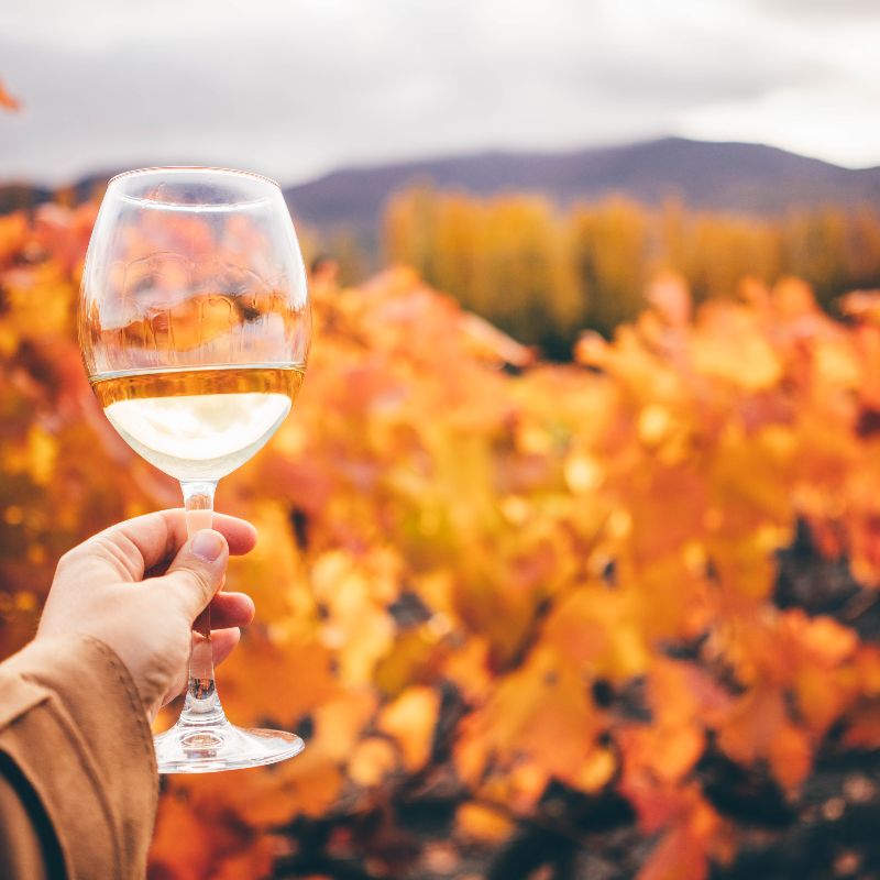 September Wine Walk, Alive After Five
