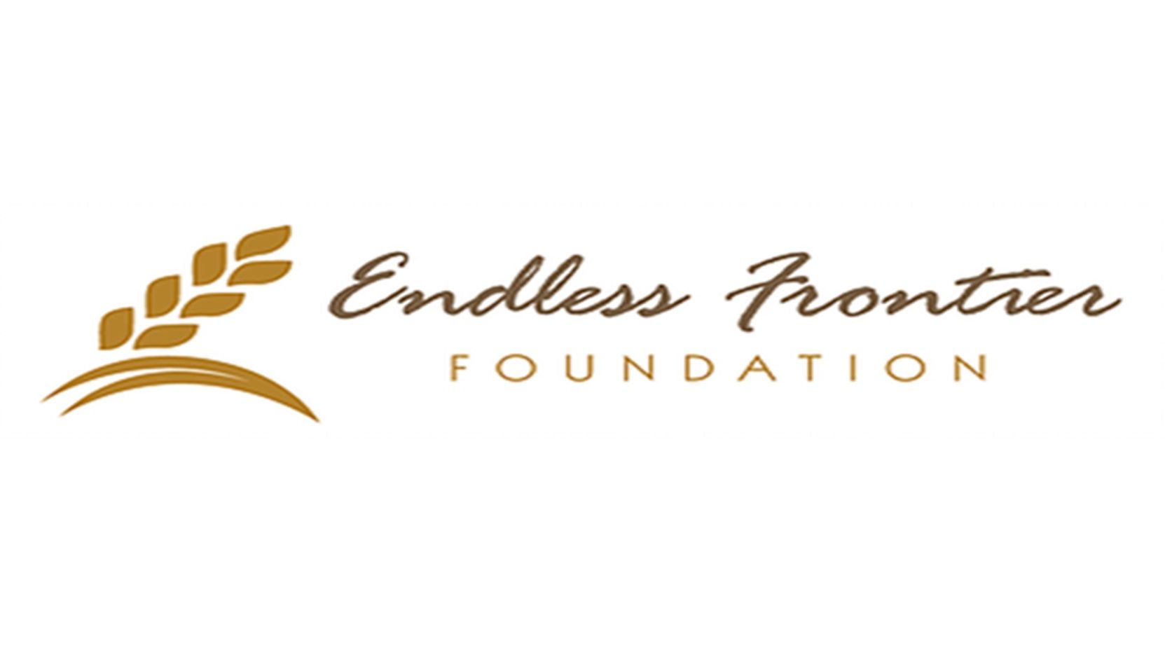 Donate to Endless Frontier Foundation Inc