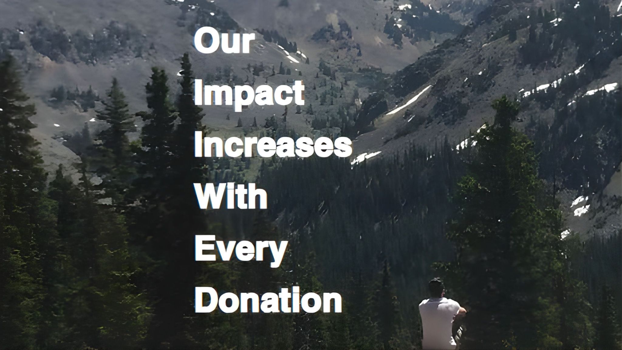 DMAC Impact Foundation Donation Form